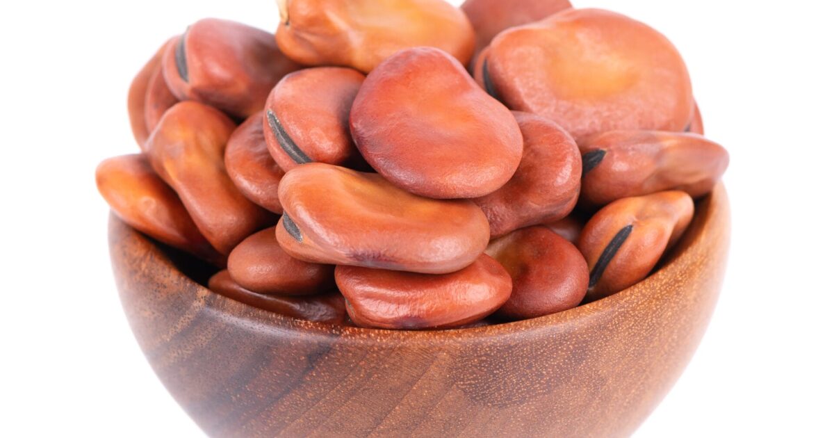 How to cook dried fava beans - Gimme Recipe